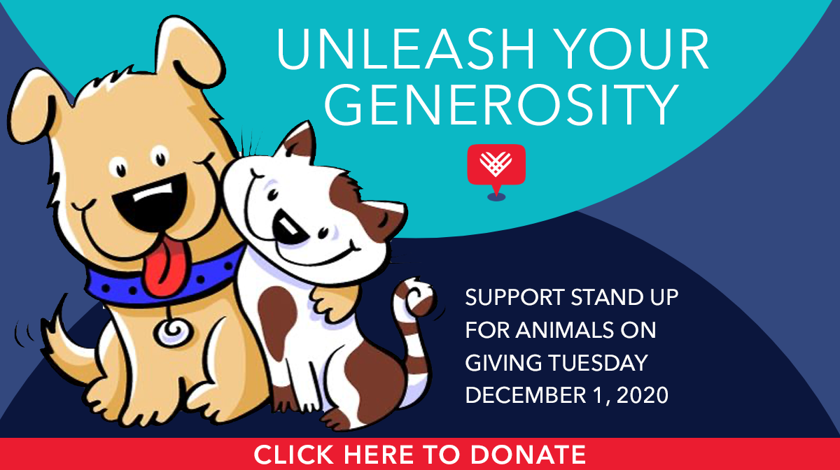 ~ Today is Giving Tuesday ~ – Stand Up For Animals
